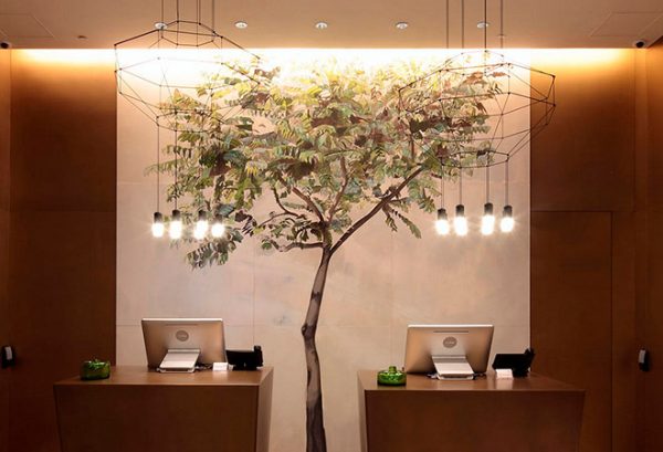 Soraa Lighting - Megaman Eléctrica